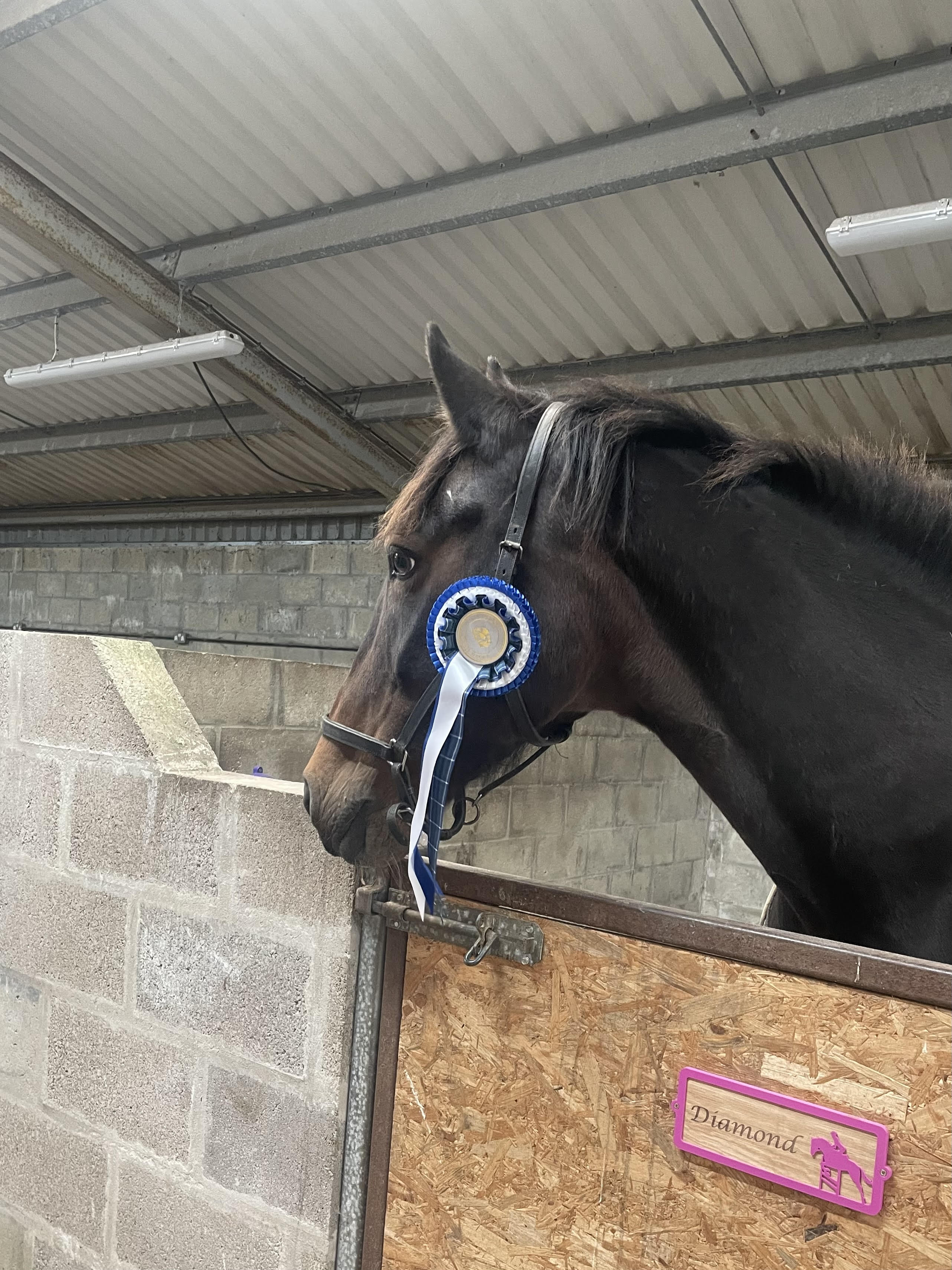 CHAMPIONSHIP RESULTS 2025 – Scottish Riding Clubs Event Series